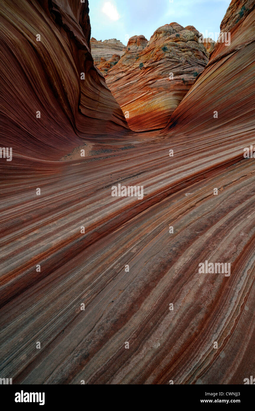 twisted red Rock sandstone formation The Wave North Coyote Buttes ...