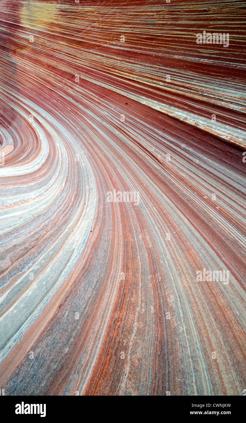 twisted red Rock sandstone formation The Wave North Coyote Buttes ...