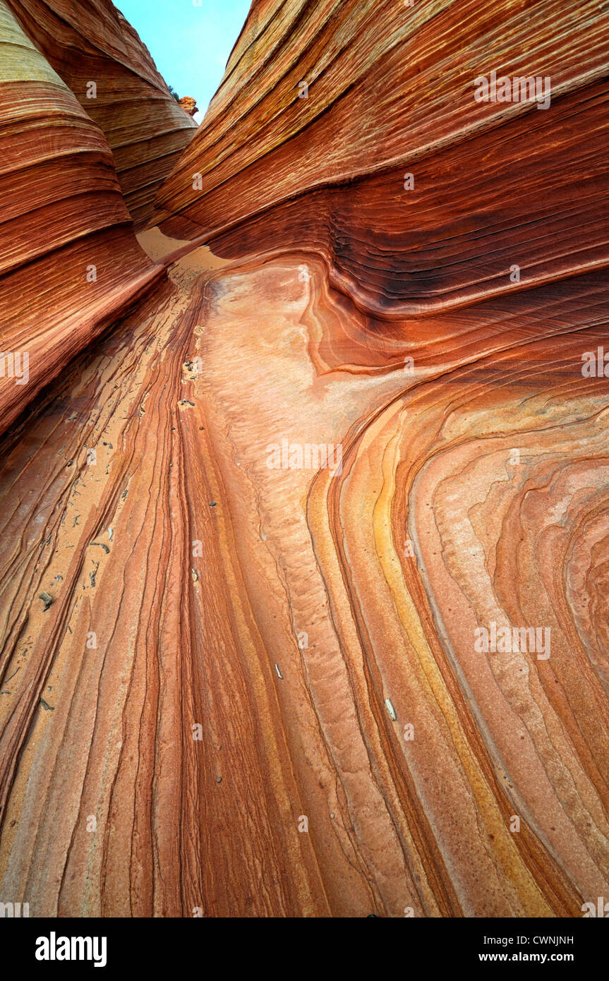 twisted red Rock sandstone formation The Wave North Coyote Buttes ...