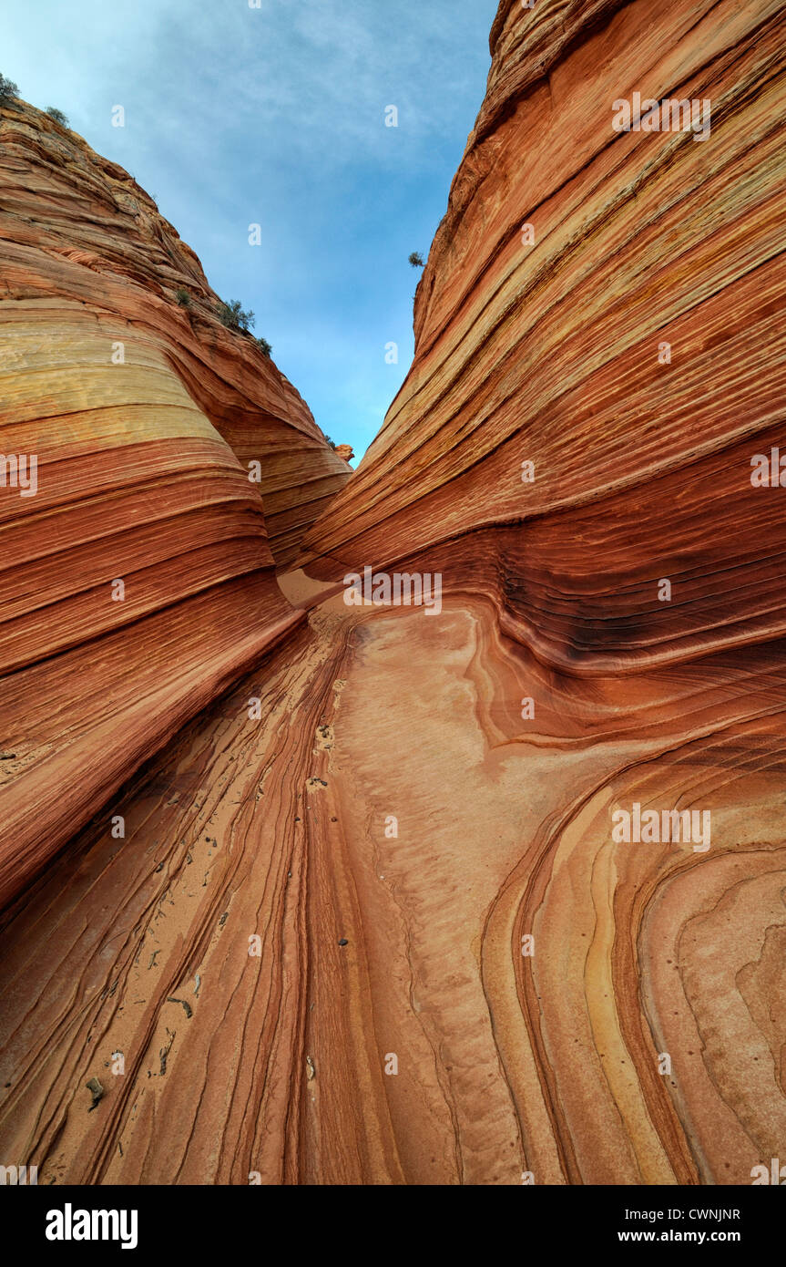twisted red Rock sandstone formation The Wave North Coyote Buttes ...