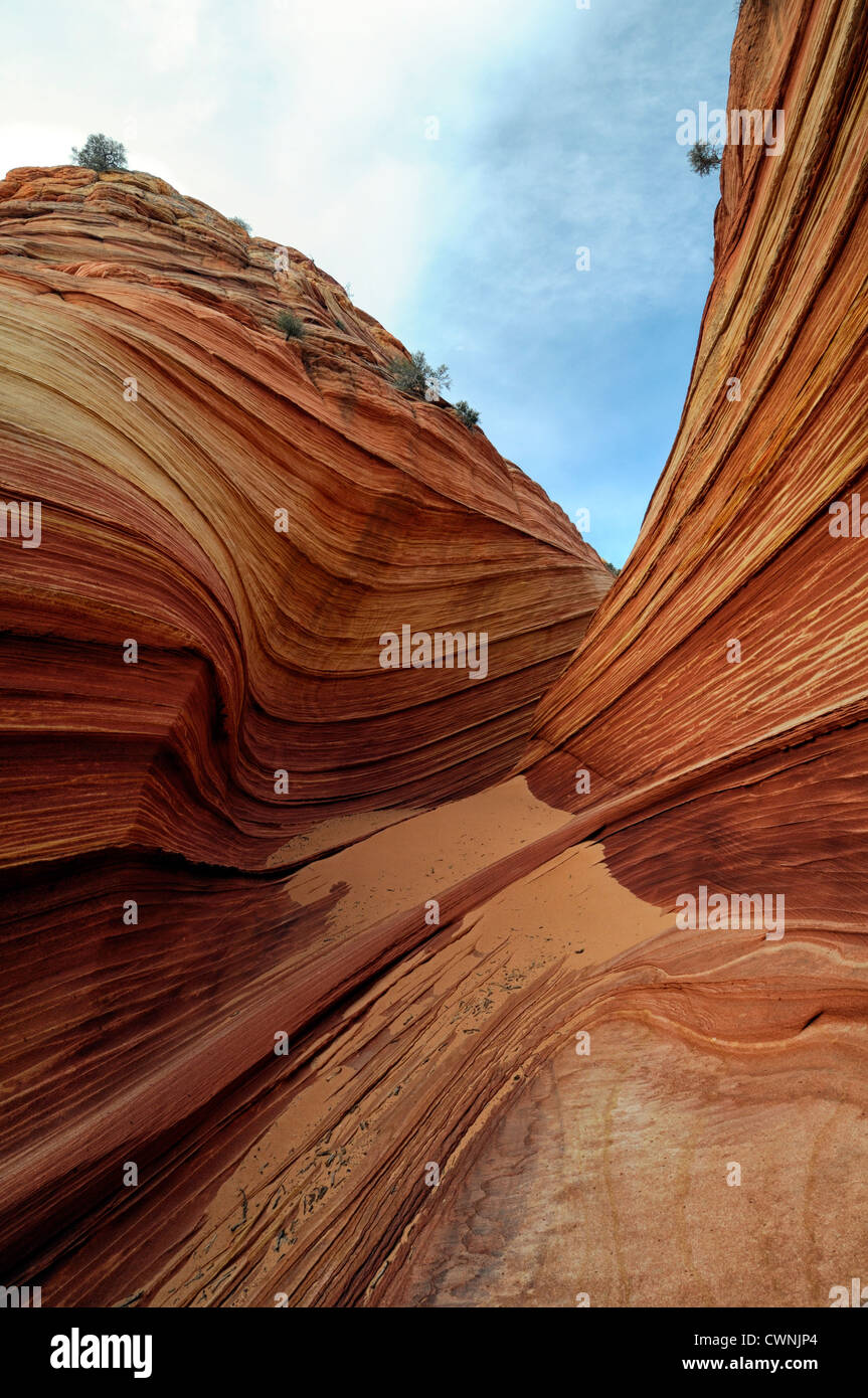 twisted red Rock sandstone formation The Wave North Coyote Buttes ...