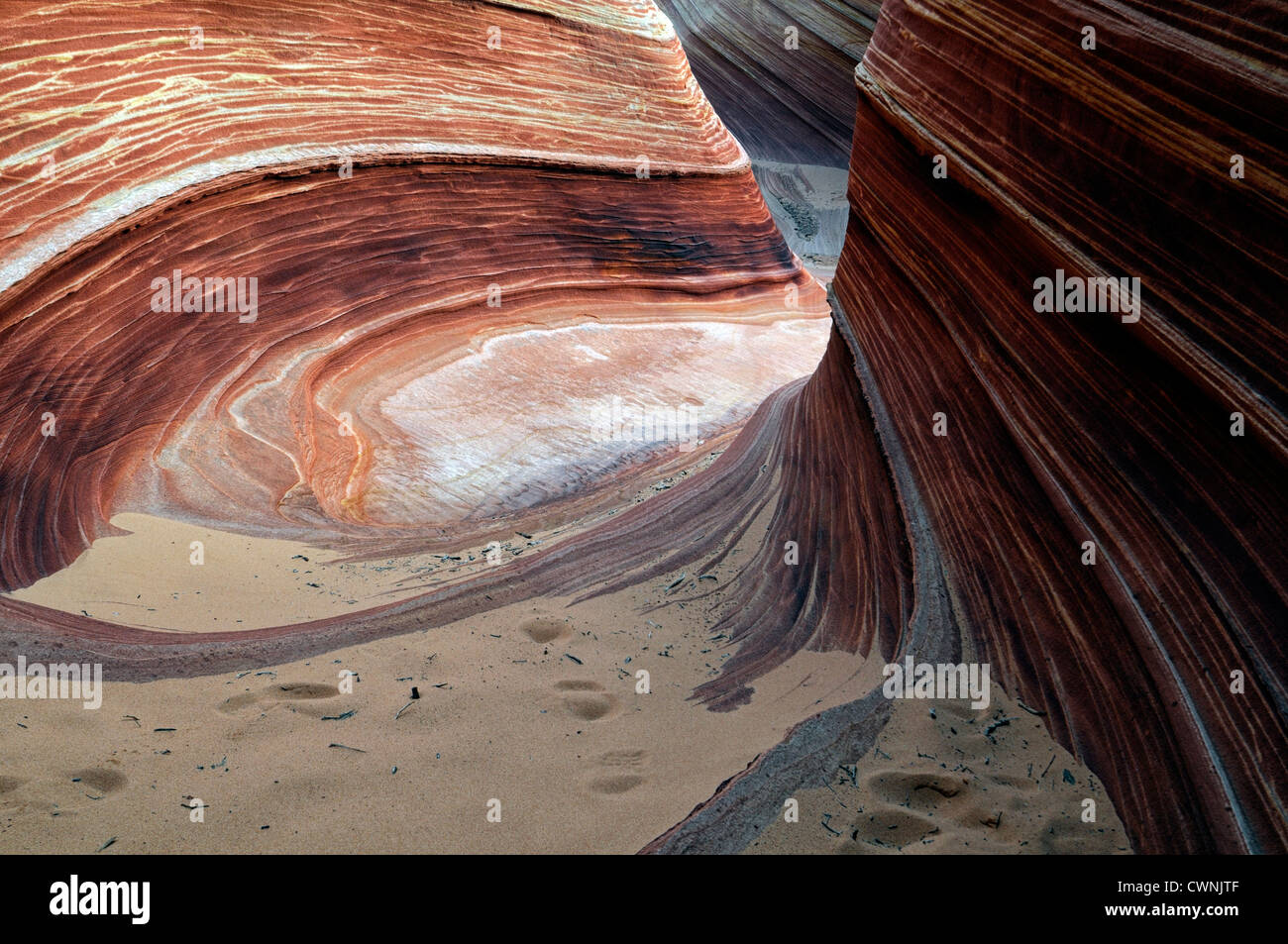 twisted red Rock sandstone formation The Wave North Coyote Buttes ...
