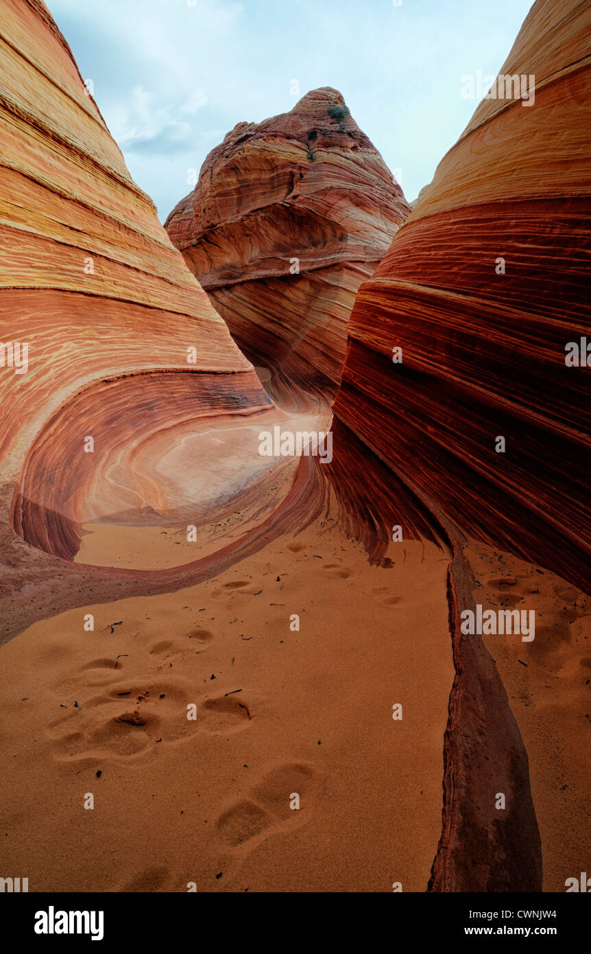 twisted red Rock sandstone formation The Wave North Coyote Buttes ...