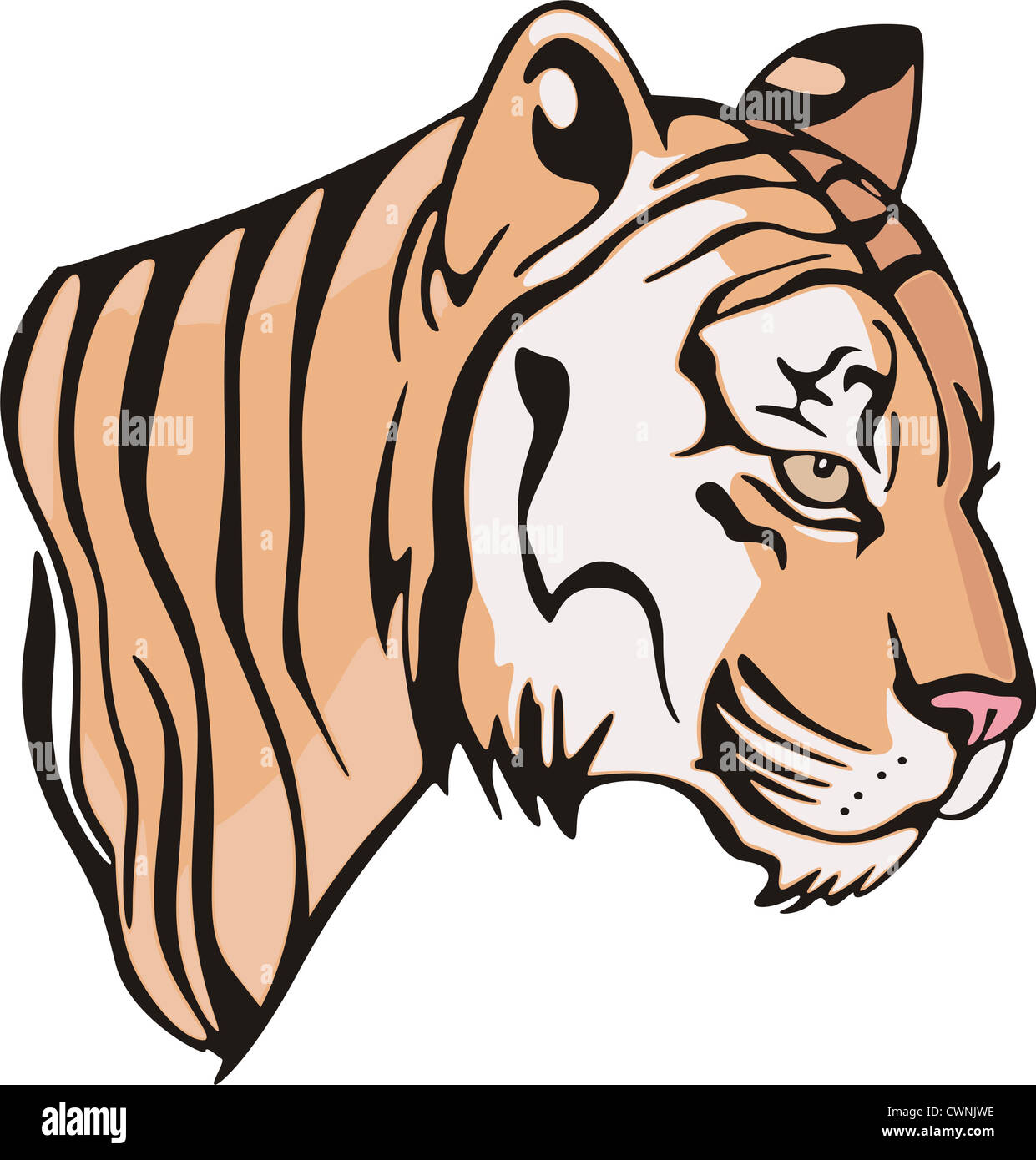The illustration of nice little tiger cub. Vector EPS Illustration ...