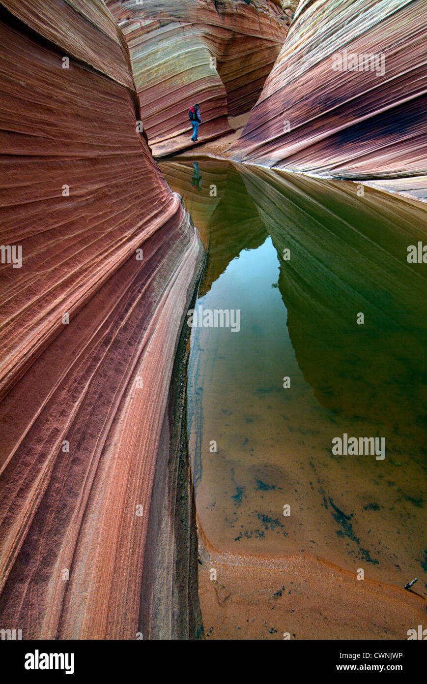 twisted red Rock sandstone formation The Wave North Coyote Buttes ...
