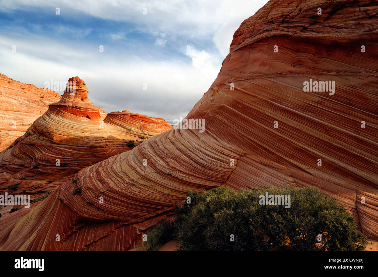 twisted red Rock sandstone formation The Wave North Coyote Buttes ...
