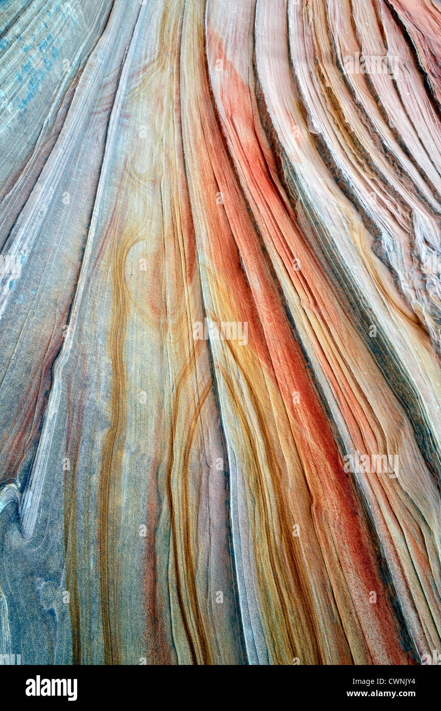 twisted red Rock sandstone formation The Wave North Coyote Buttes ...
