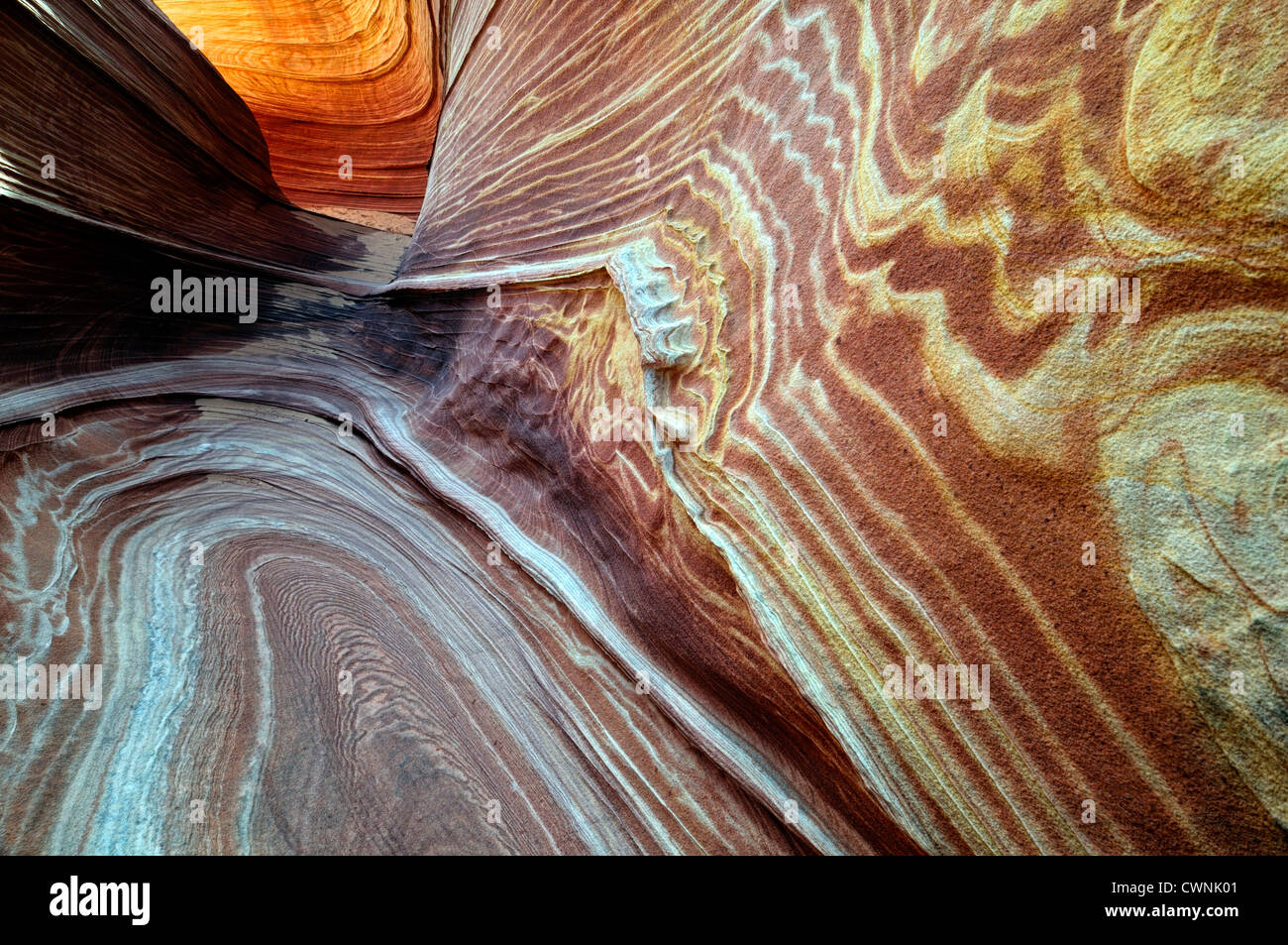 twisted red Rock sandstone formation The Wave North Coyote Buttes ...