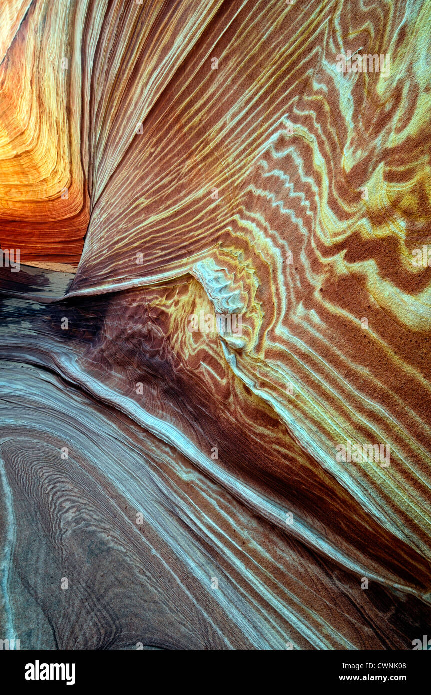 twisted red Rock sandstone formation The Wave North Coyote Buttes ...