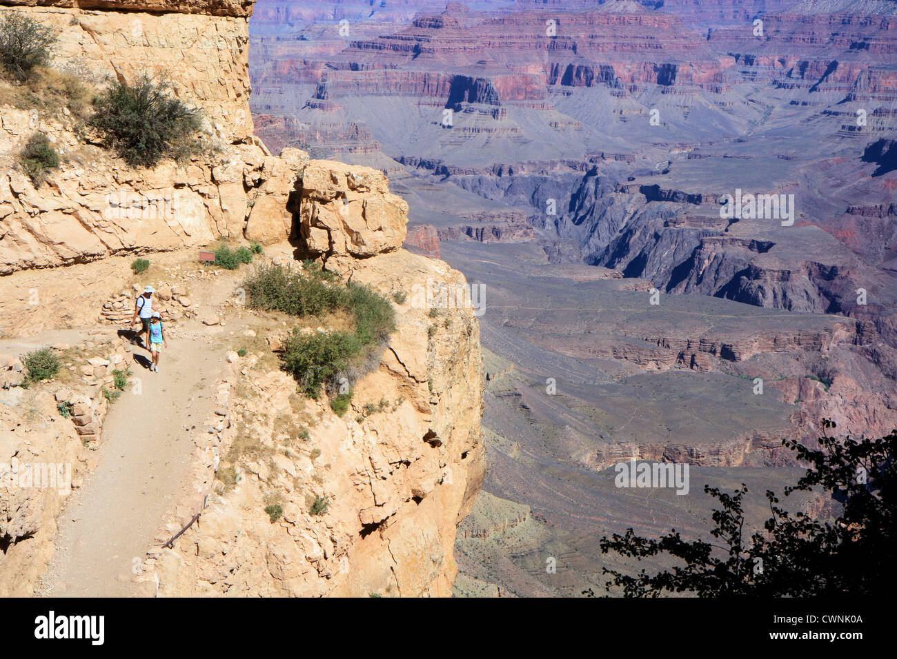 Cedar ridge grand canyon hi-res stock photography and images - Alamy