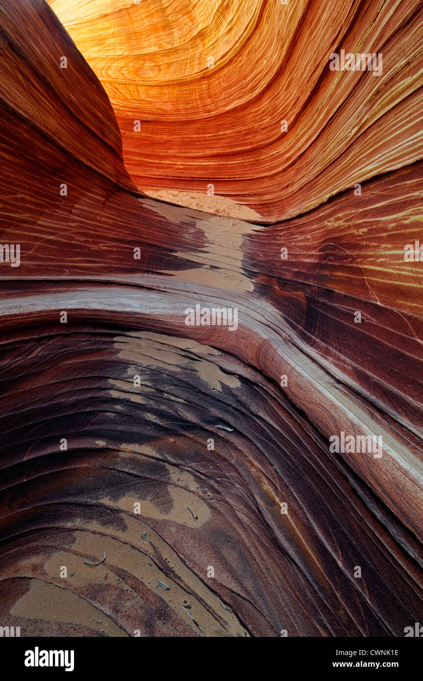 twisted red Rock sandstone formation The Wave North Coyote Buttes ...
