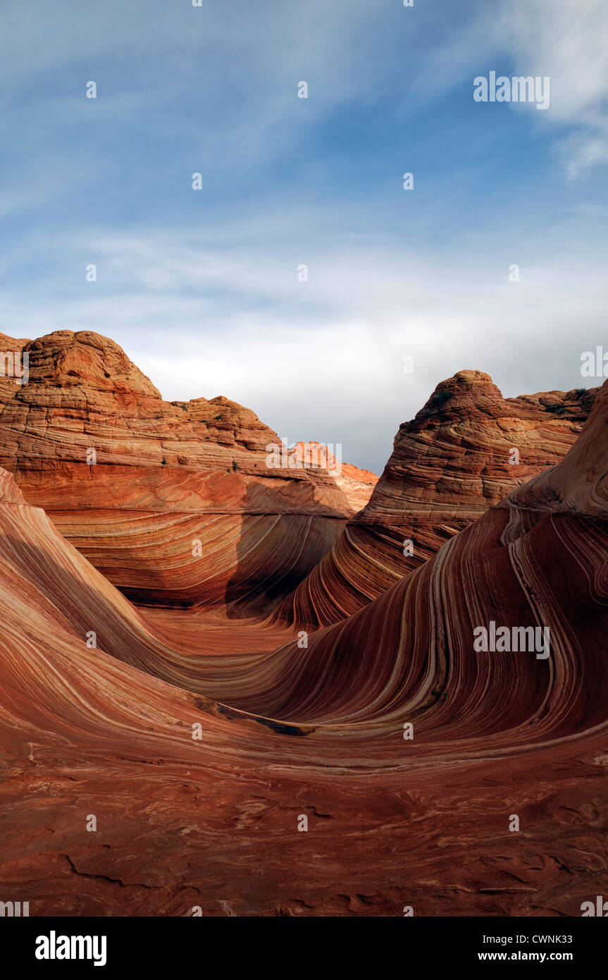 twisted red Rock sandstone formation The Wave North Coyote Buttes ...