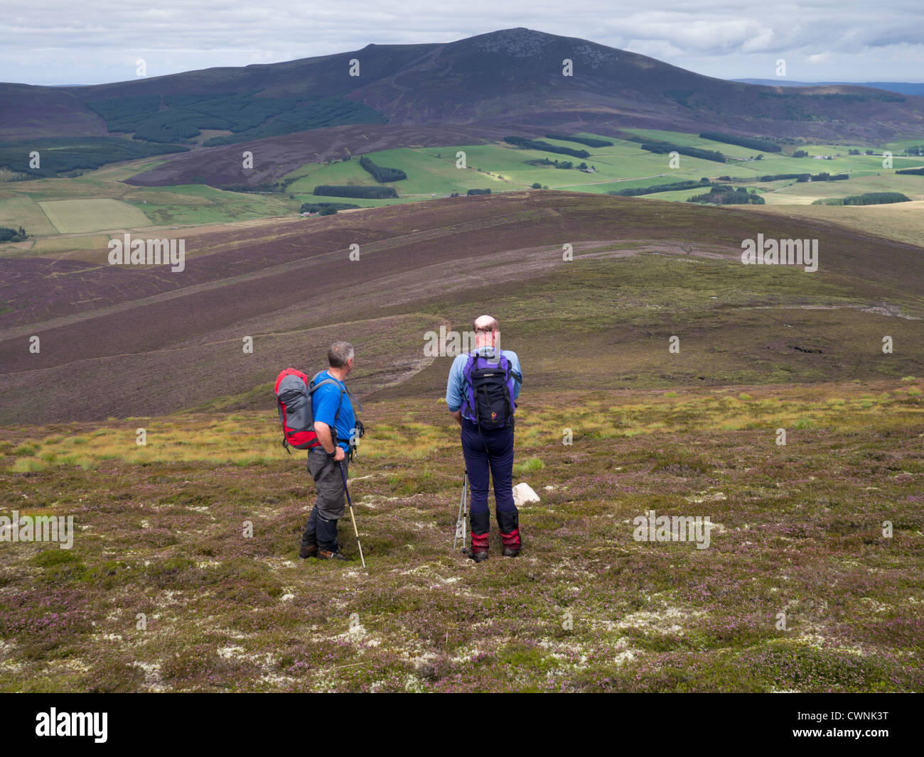 Ben Rinnes is a mountain in Moray, in northern Scotland. It has amazing ...