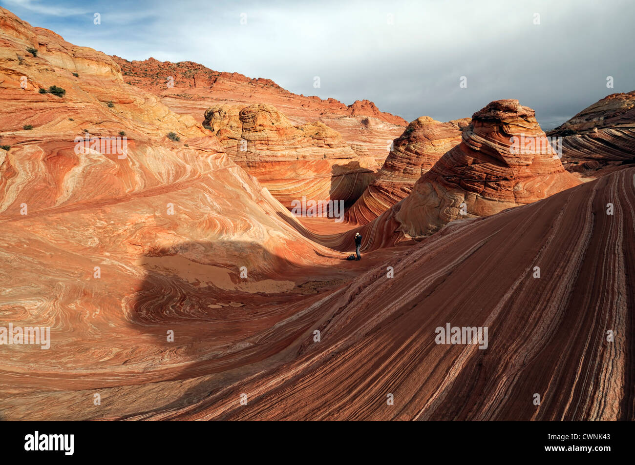 twisted red Rock sandstone formation The Wave North Coyote Buttes ...