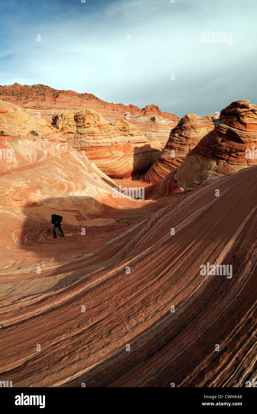 twisted red Rock sandstone formation The Wave North Coyote Buttes ...