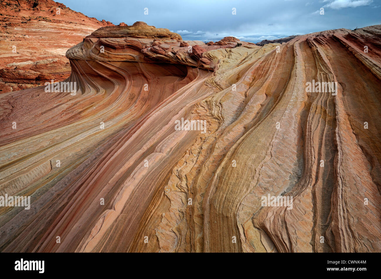 twisted red Rock sandstone formation The Wave North Coyote Buttes ...