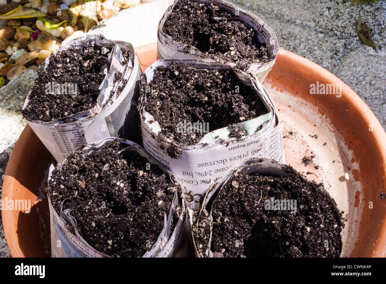 Newspaper plant pots hi-res stock photography and images - Alamy