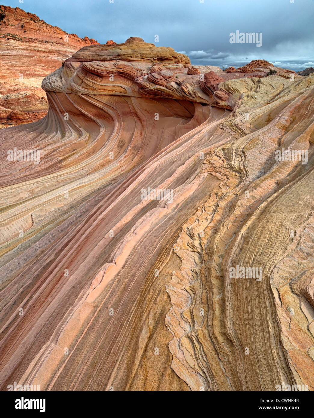 twisted red Rock sandstone formation The Wave North Coyote Buttes ...