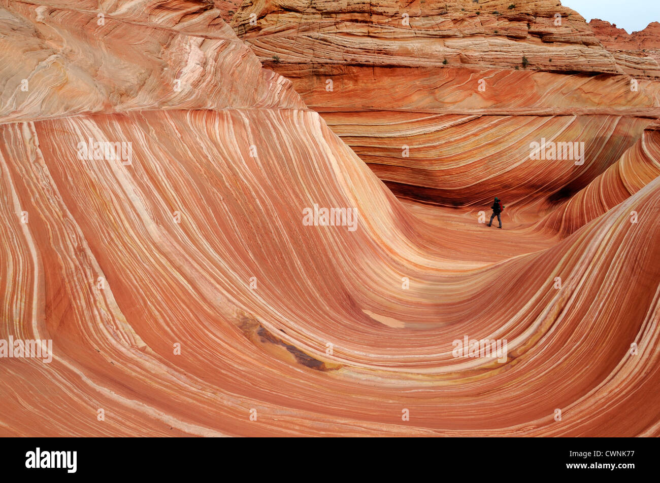 twisted red Rock sandstone formation The Wave North Coyote Buttes ...