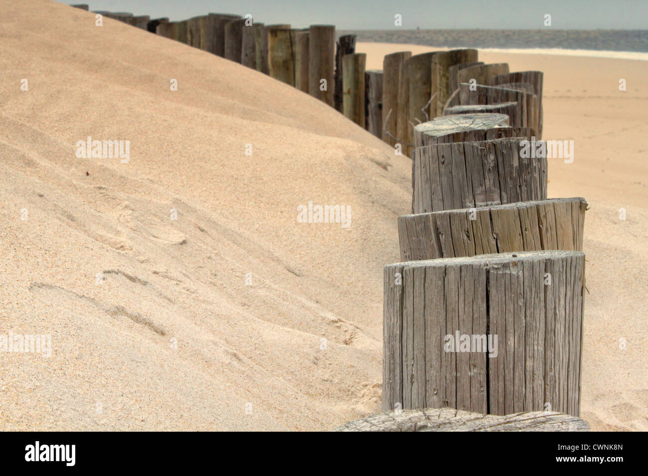 Aligned logs on a beach, partly covered with sand Stock Photo - Alamy