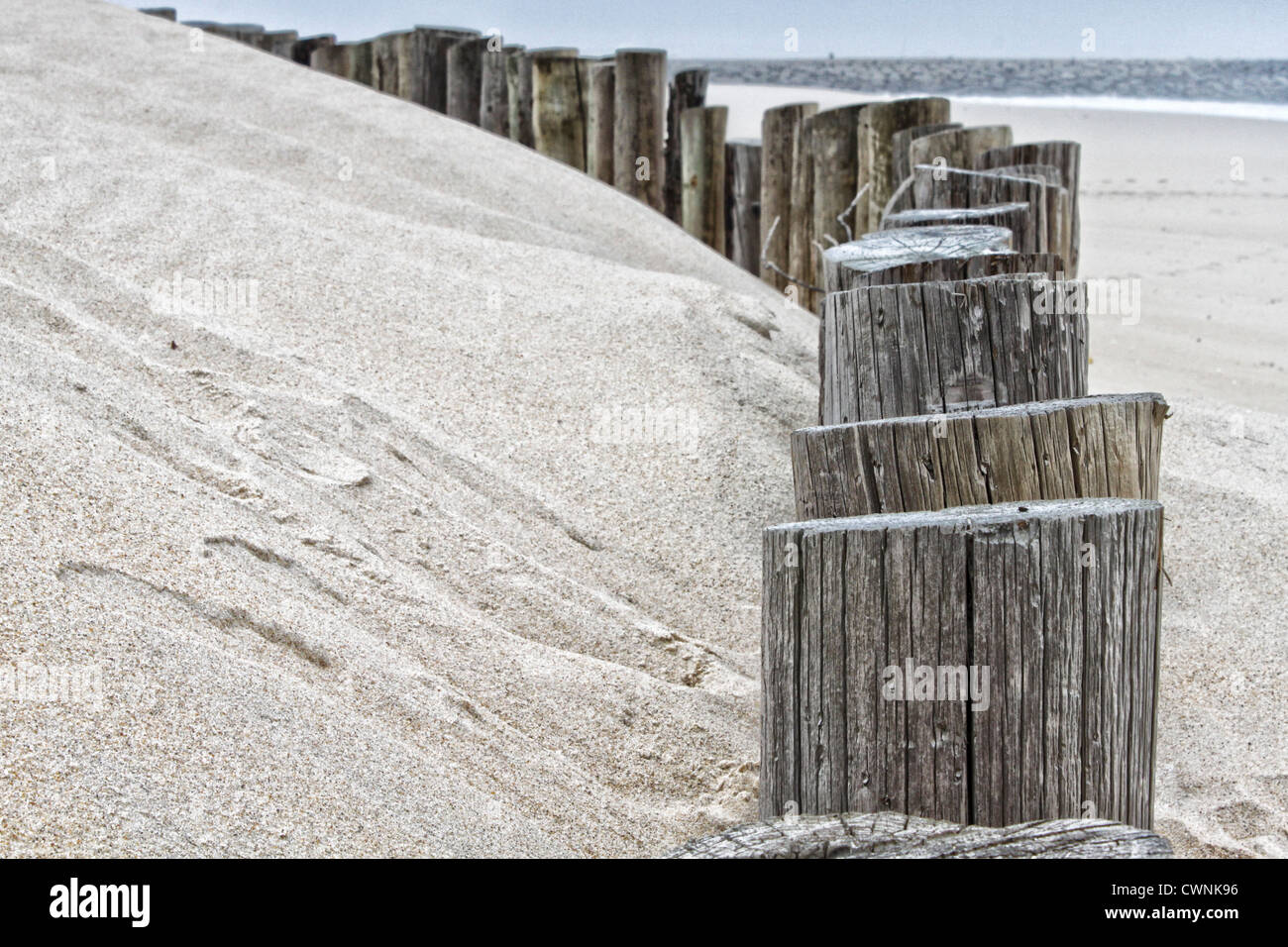 Aligned logs on a beach, partly covered with sand Stock Photo - Alamy
