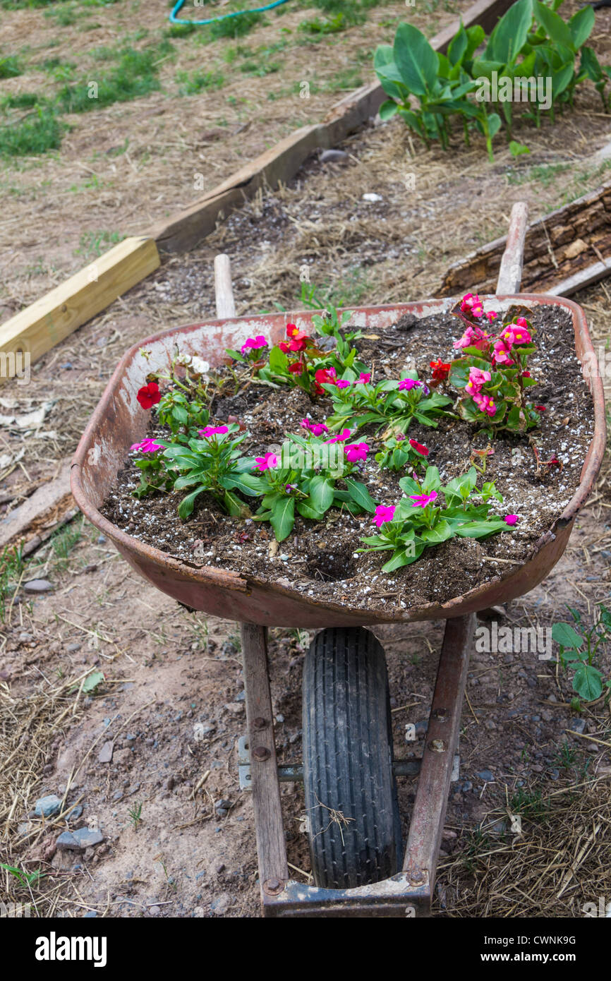 Farming wheelbarrow hi-res stock photography and images - Alamy