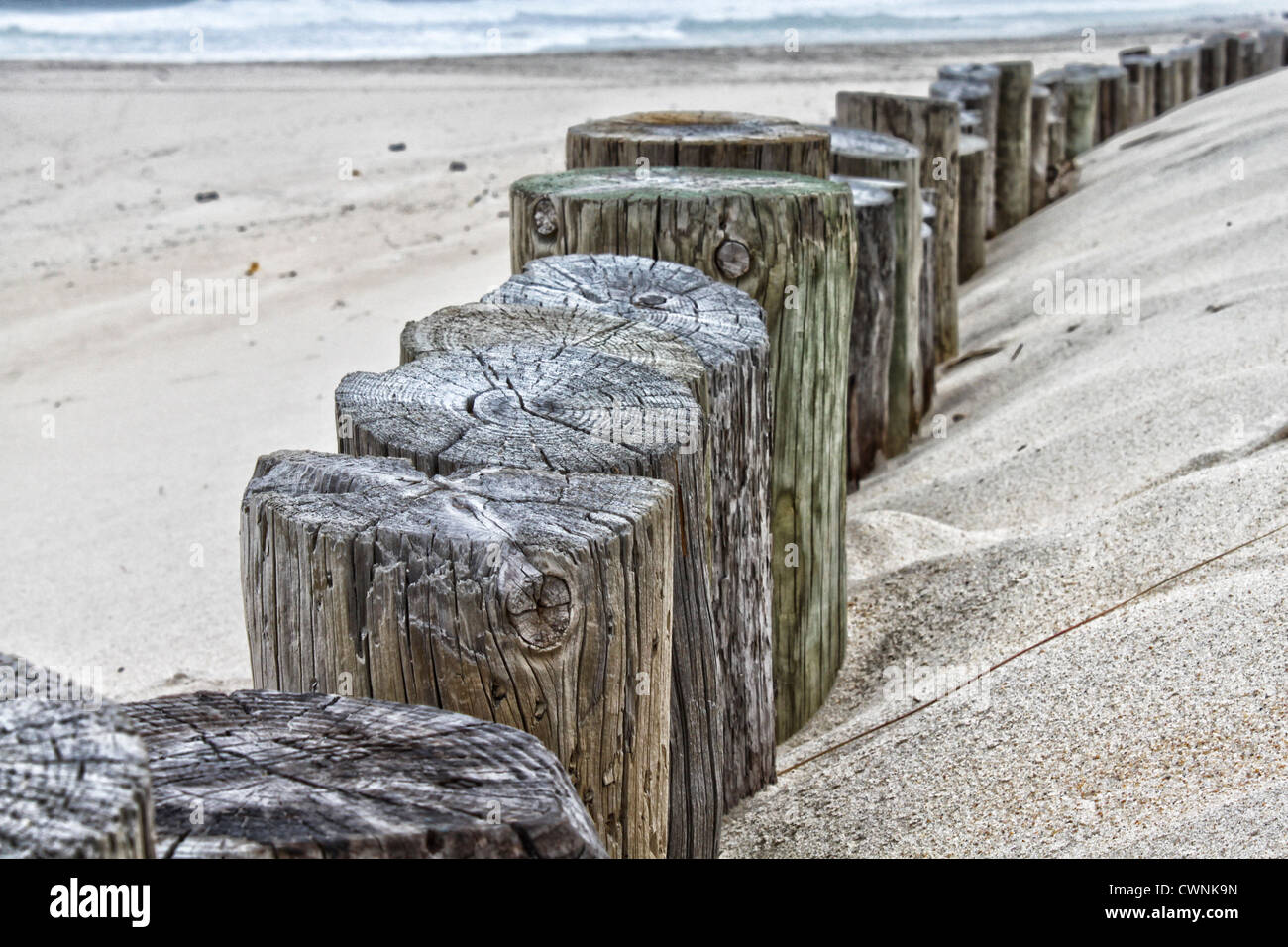Aligned logs on a beach, partly covered with sand Stock Photo - Alamy