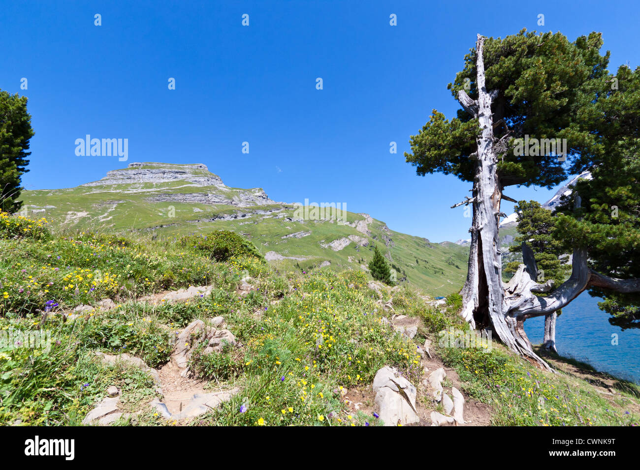 Mountain Scenery in the Swiss Alps Stock Photo - Alamy
