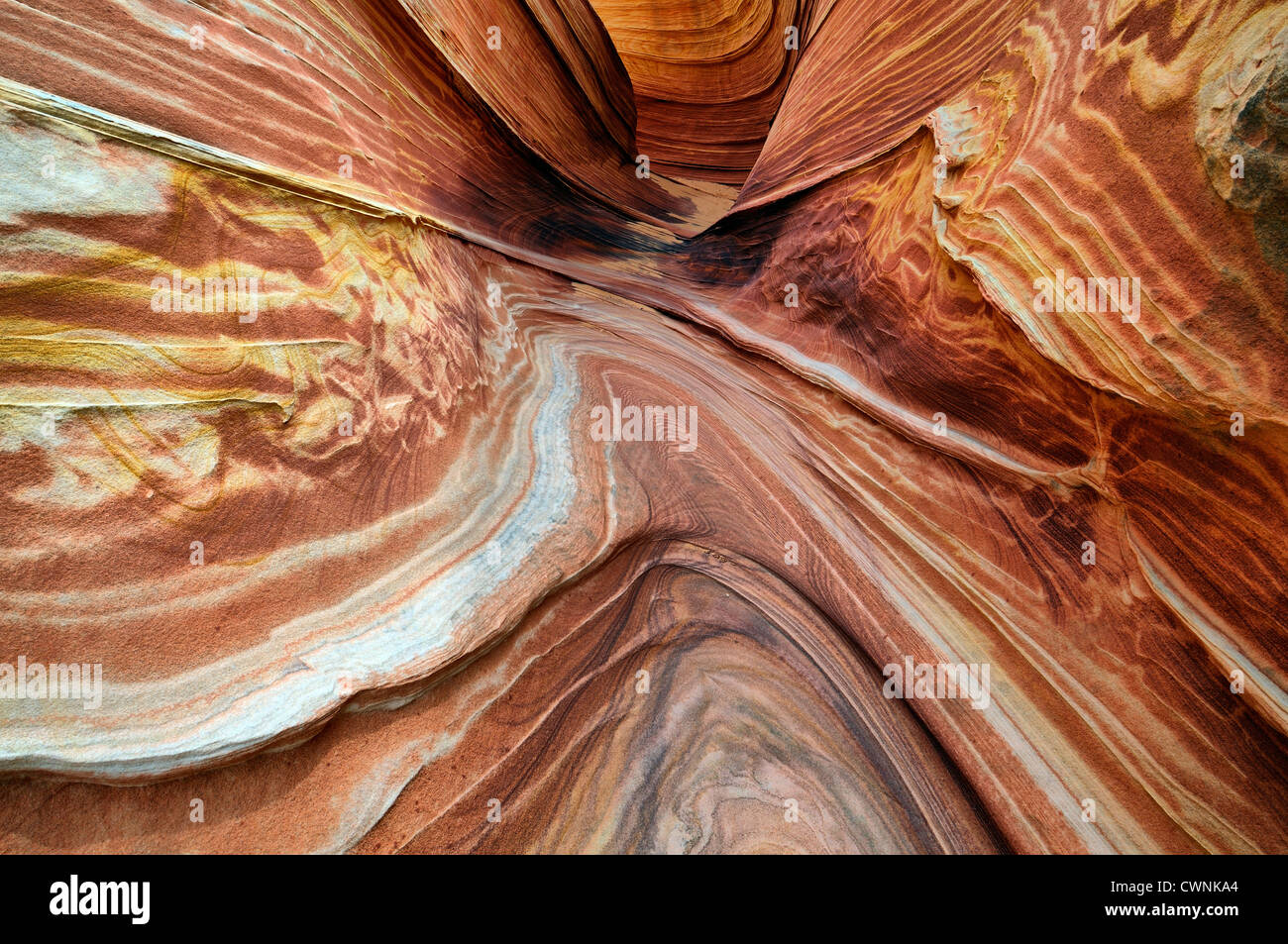 twisted red Rock sandstone formation The Wave North Coyote Buttes ...