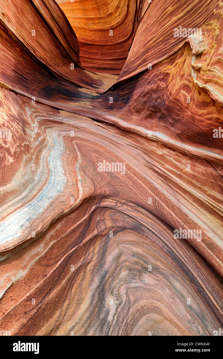 twisted red Rock sandstone formation The Wave North Coyote Buttes ...