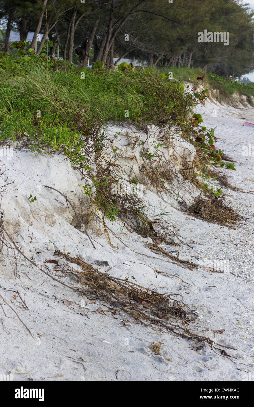 Shoreline wave erosion hi-res stock photography and images - Alamy