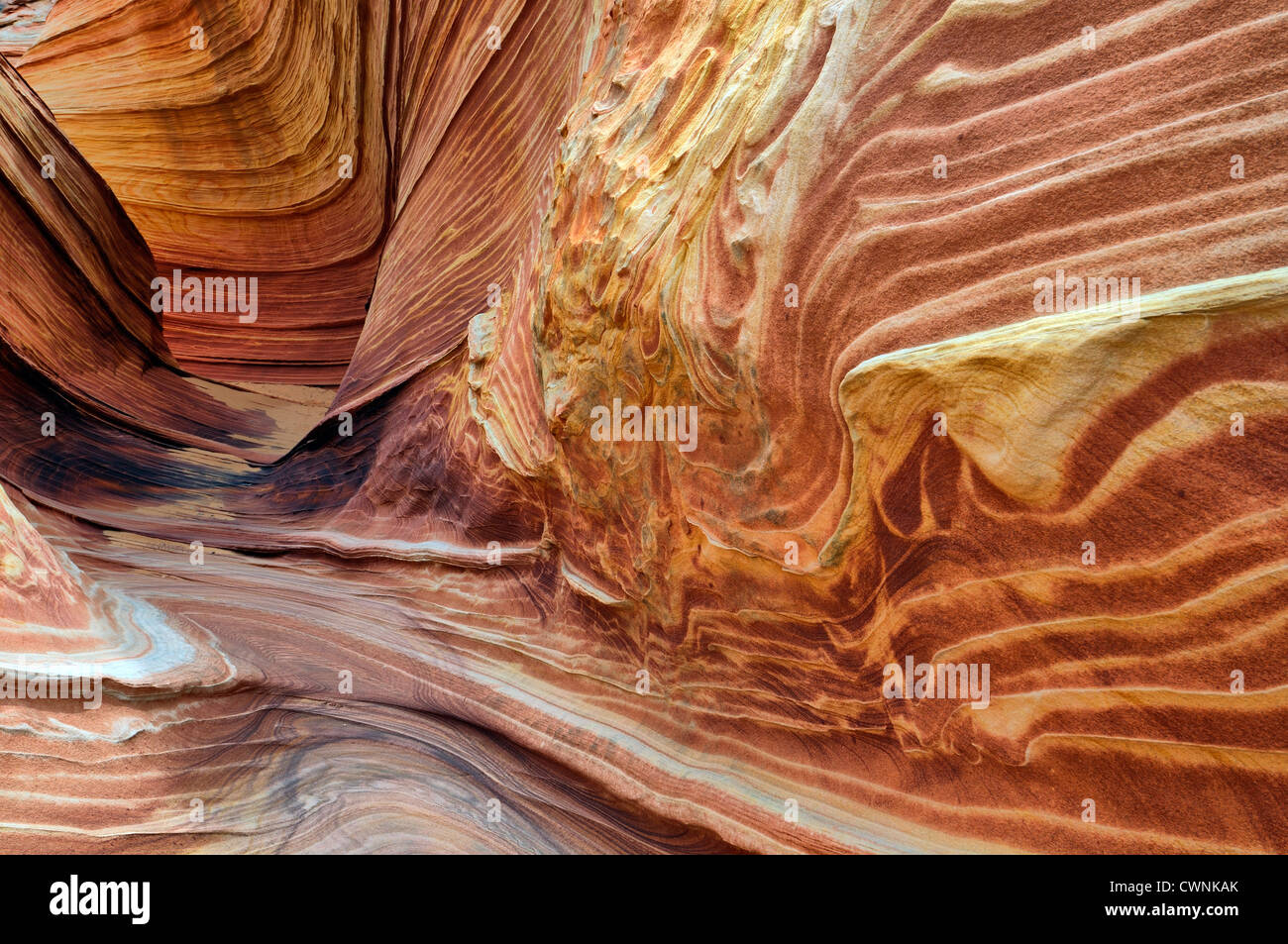 twisted red Rock sandstone formation The Wave North Coyote Buttes ...