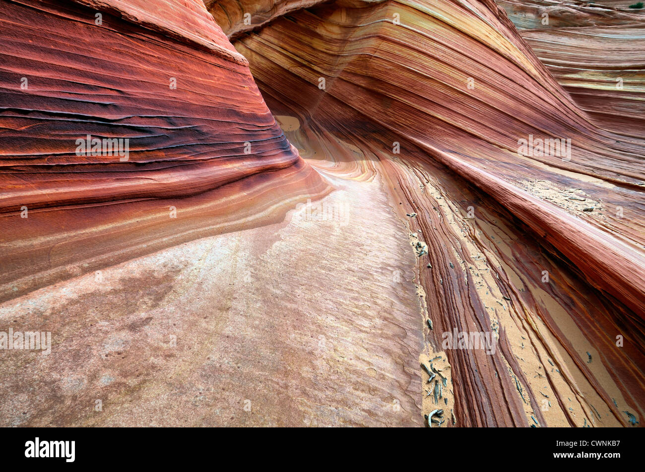 twisted red Rock sandstone formation The Wave North Coyote Buttes ...