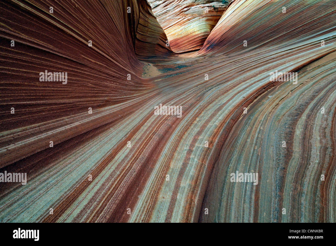 twisted red Rock sandstone formation The Wave North Coyote Buttes ...