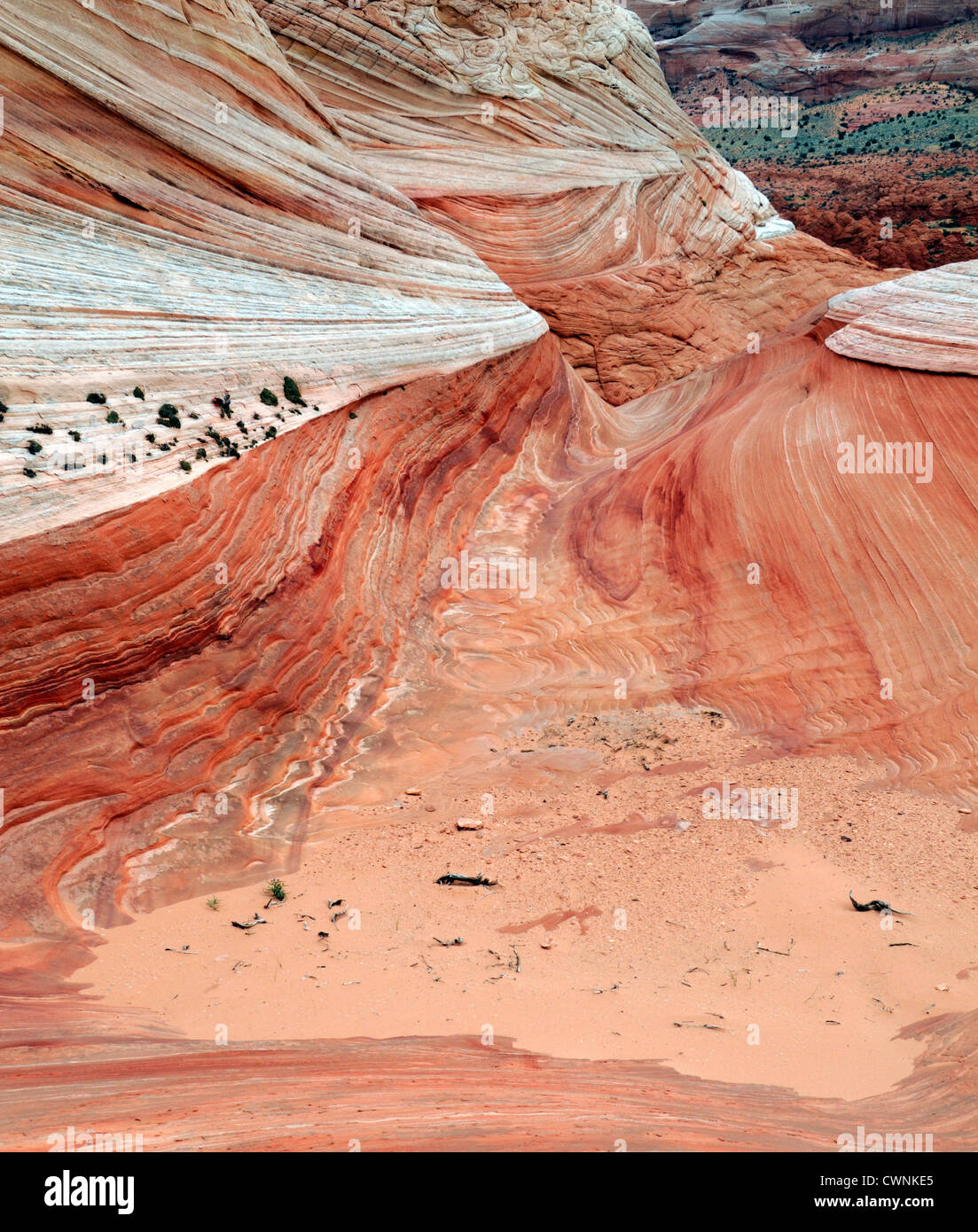 twisted red sandstone rock formation desert north coyote buttes utah ...