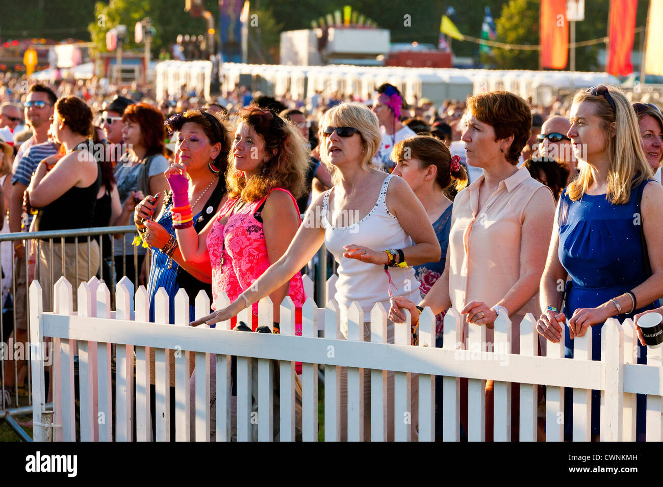 Part of the VIP section of the huge crowd at the Rewind Festival Henley ...