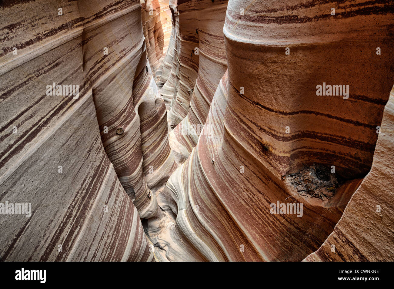 Zebra Slot Canyon Hole in the Rock Road Grand Staircase Escalante ...