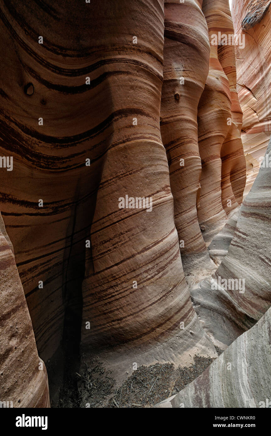 Zebra Slot Canyon Hole in the Rock Road Grand Staircase Escalante ...