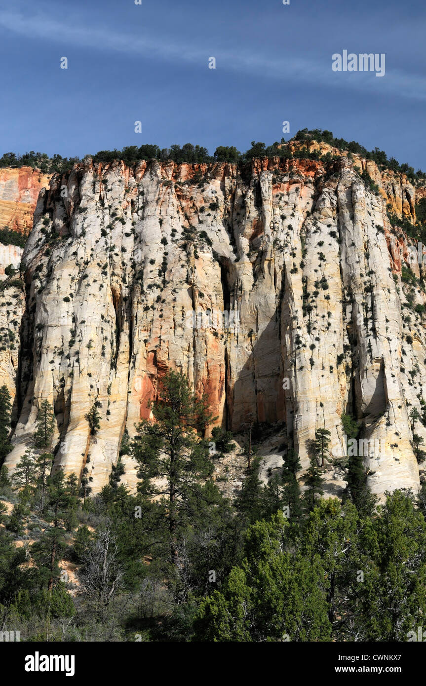 towering high height sandstone cliffs zion national park utah Stock ...