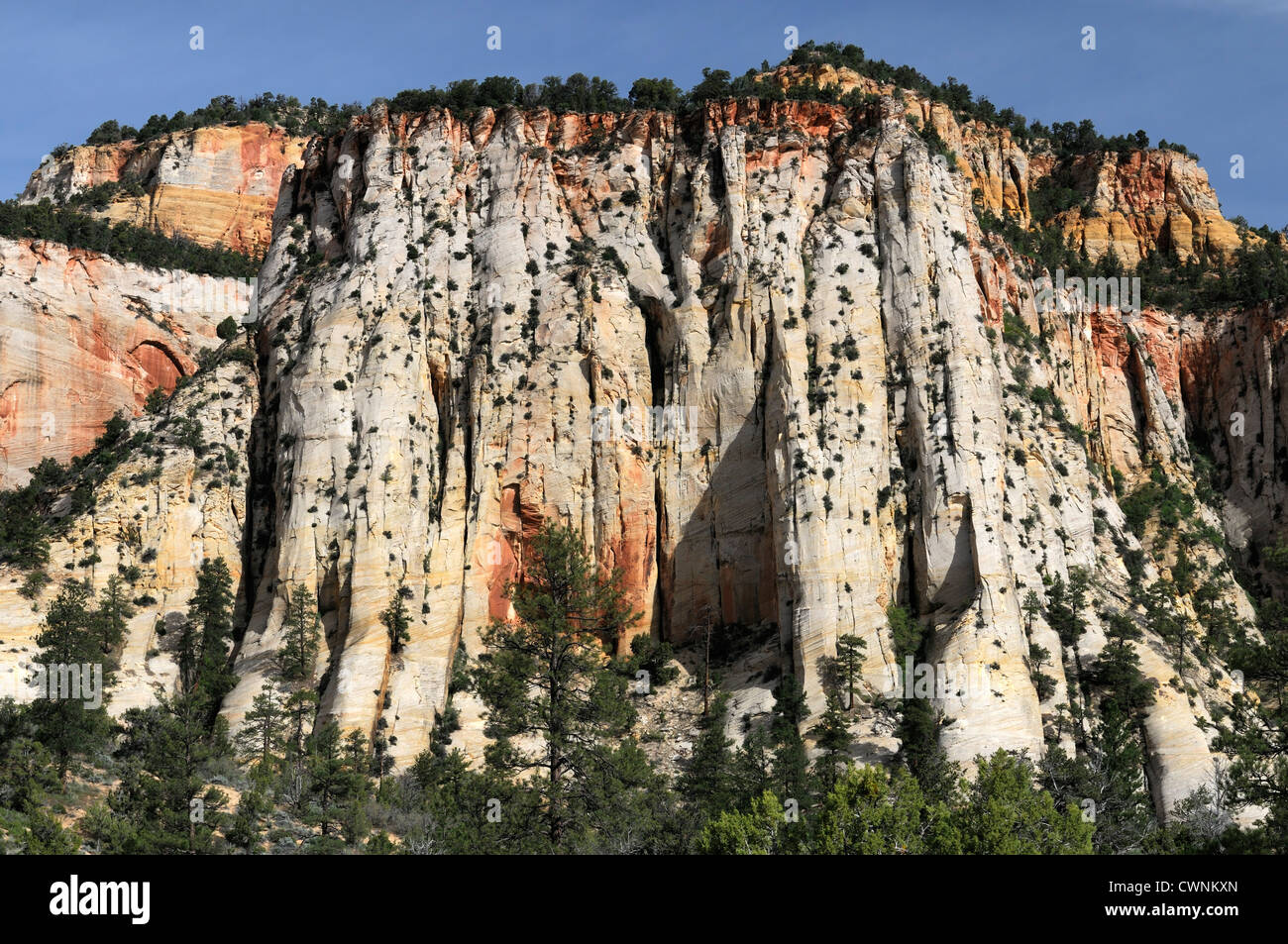 towering high height sandstone cliffs zion national park utah Stock ...