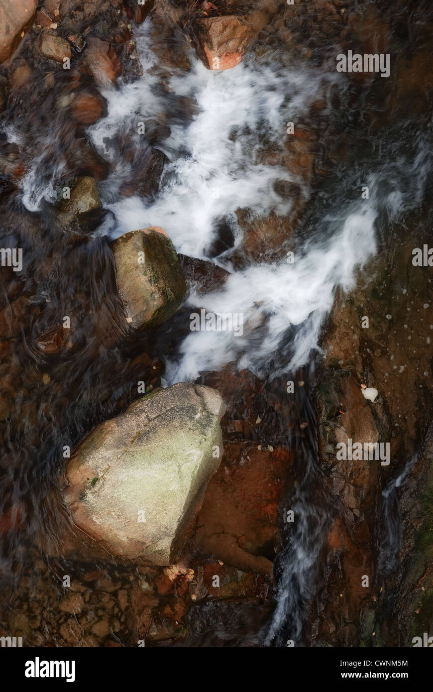 Repid hi-res stock photography and images - Alamy