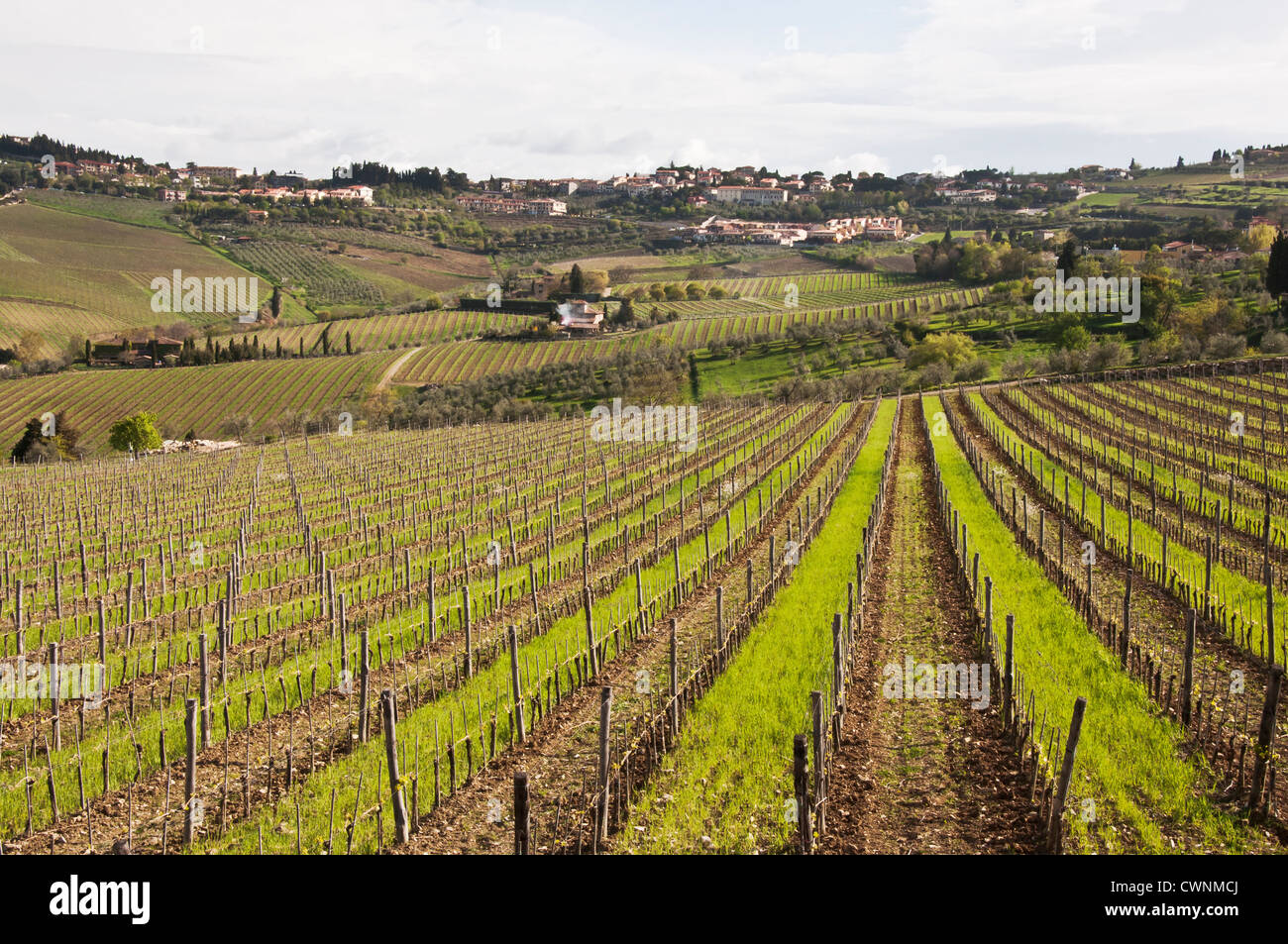 farmland and countryside in Chianti, Tuscany, Italy Stock Photo - Alamy