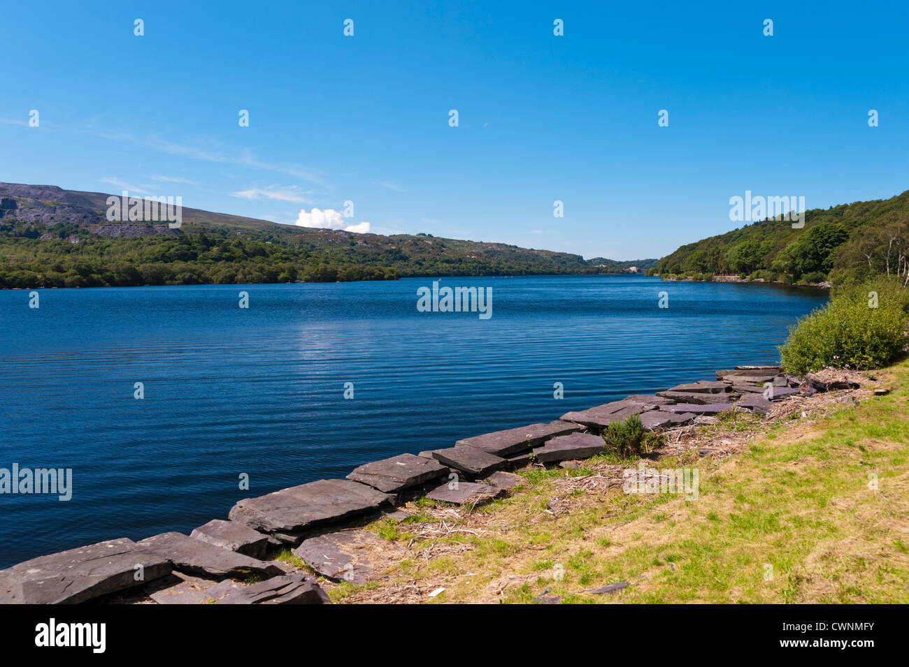 Padarn Country Park Llanberis North Wales Uk. Padarn Lake Stock Photo ...
