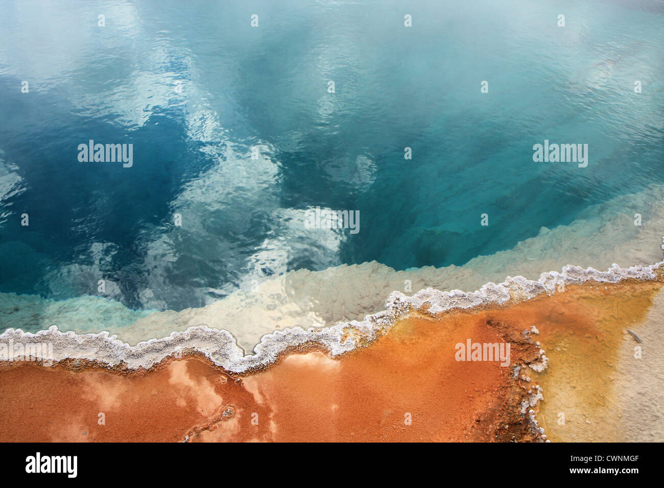 Hot spring close-up view in Yellowstone national park, Wyoming, USA ...