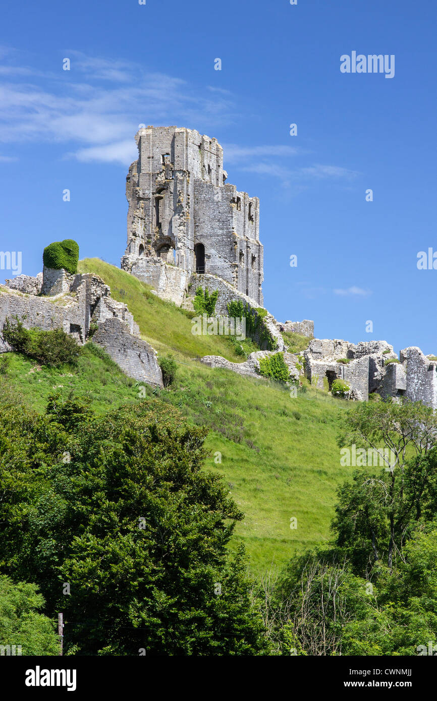 Corfe Castle Historic Ruin, Dorset, UK Stock Photo - Alamy