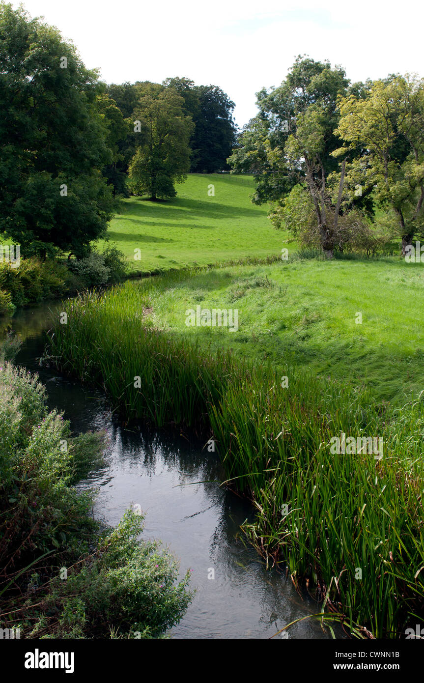 The River Coln, Coln St Aldwyns, Gloucestershire, UK Stock Photo - Alamy