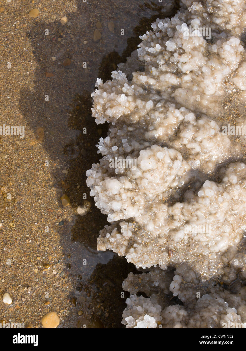 Salt deposits on a beach at the Dead Sea Jordan mixing with the sand ...