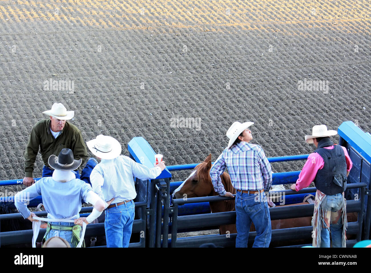 Rodeo ready hi-res stock photography and images - Alamy