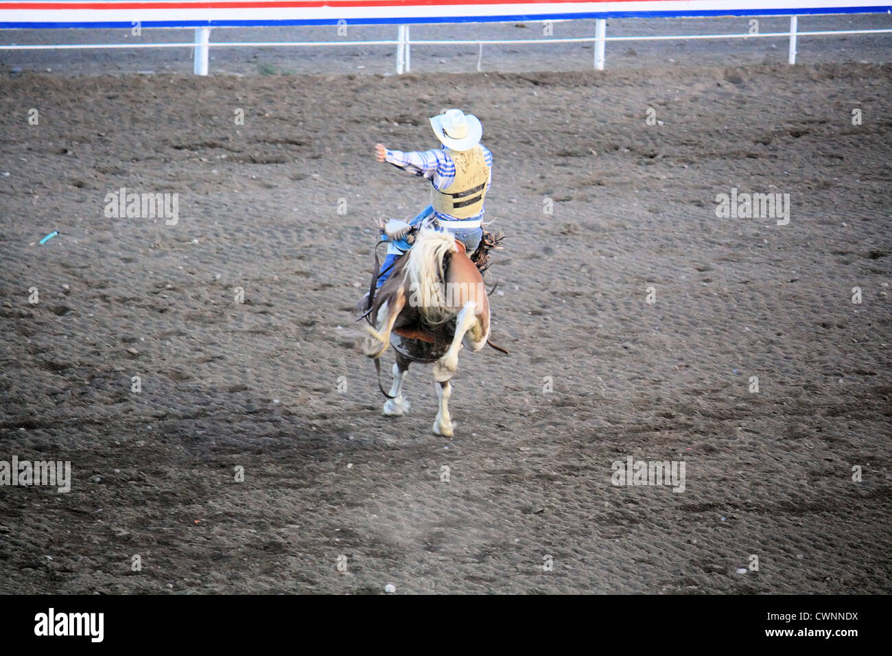 Saddle bronc riding hi-res stock photography and images - Alamy