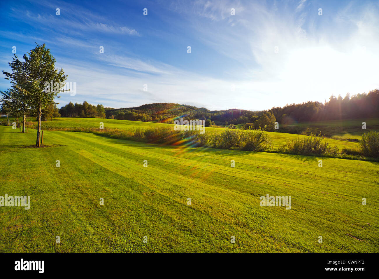 Green field at sunset. Wide angle view Stock Photo - Alamy